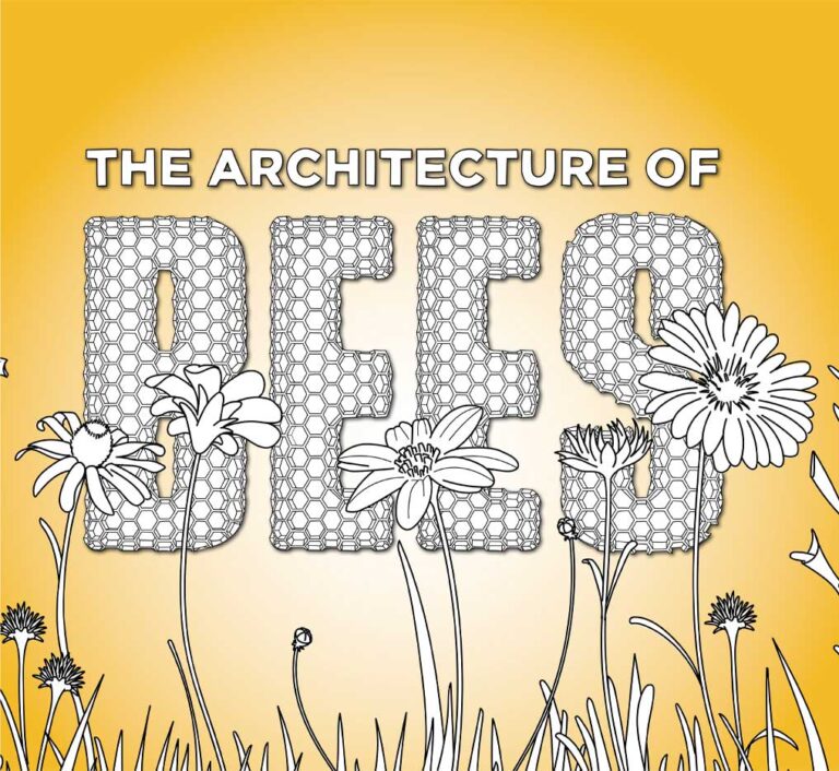 The Architecture of Bees - AIA Houston