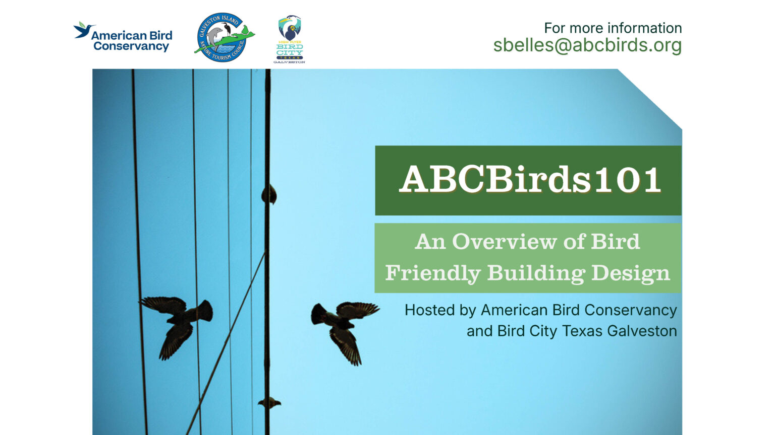 ABCBirds101 - AIA Houston